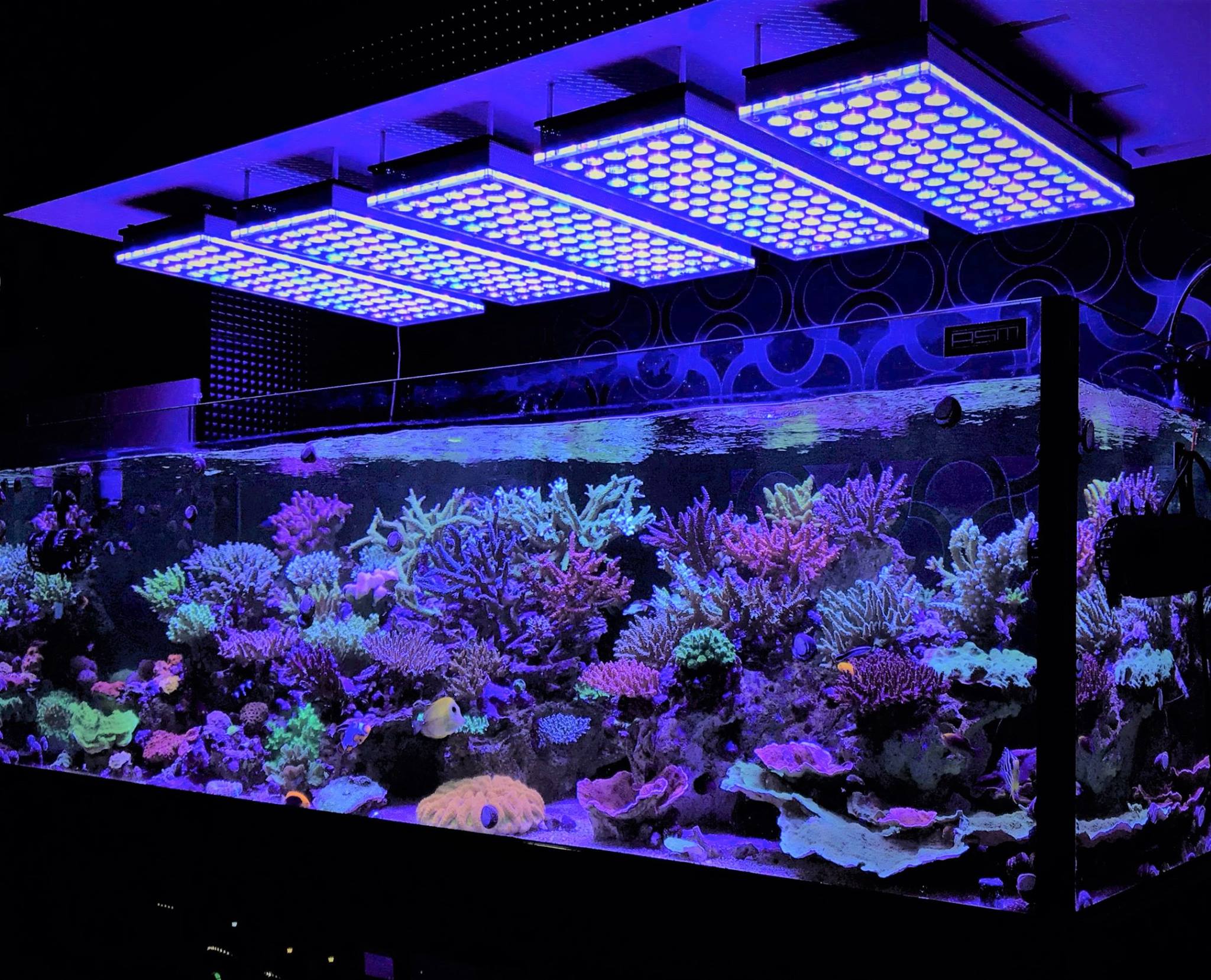 Saltwater Tank Lighting