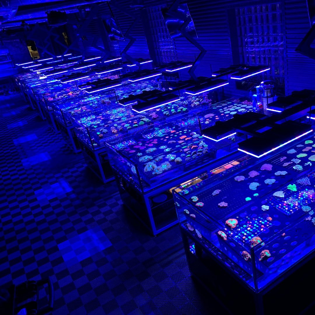 Atlantik and OR3 LED in Six Incredible Reef Aquarium Displays