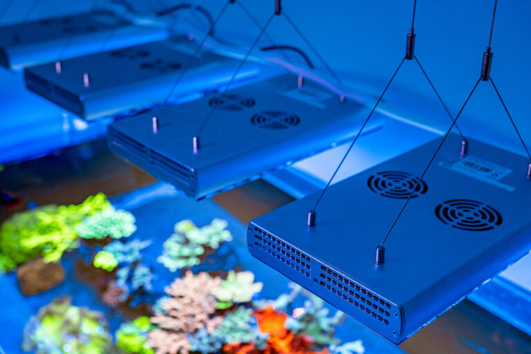 Reef Aquarium LED Light Photos gallery • Orphek