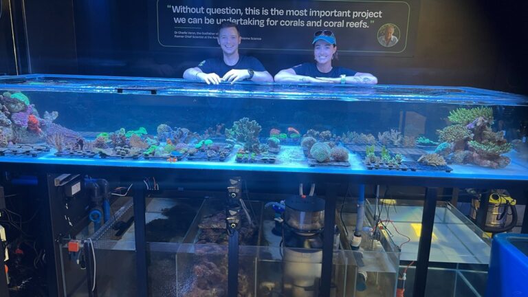 Orphek & Forever Reef Project: Lighting Coral Conservation •Orphek